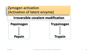 Regulation of enzyme activity | PPTX