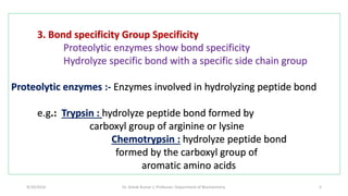 Regulation of enzyme activity | PPTX