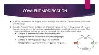 Regulation of Enzyme activity.pptx