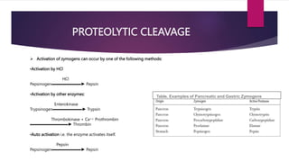 Regulation of Enzyme activity.pptx