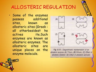 Regulation of enzyme action | PPTX