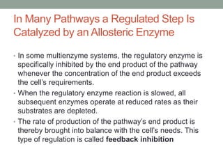 Regulation of Enzymes.pptx