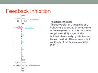 Regulation of Enzymes.pptx