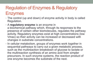 Regulation of Enzymes.pptx