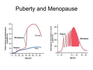 Regulation of female monthly rhythm | PPT