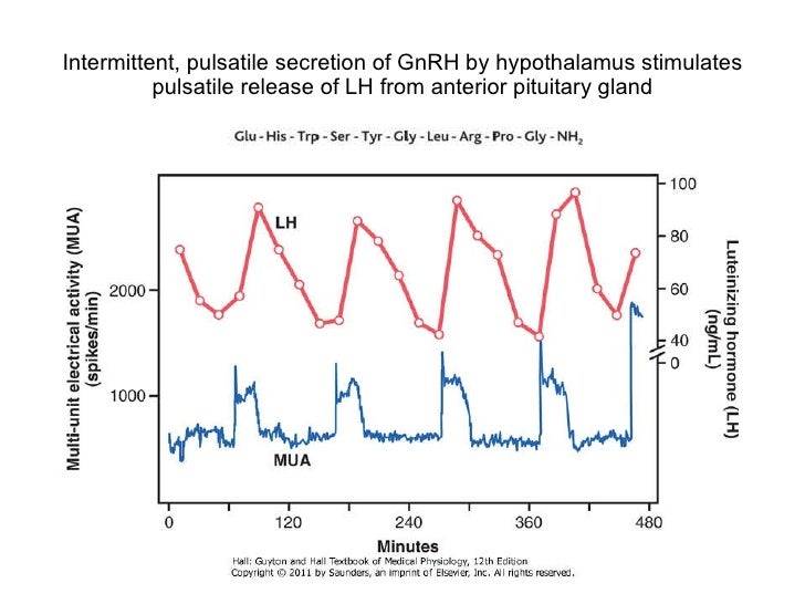 Regulation of female monthly rhythm