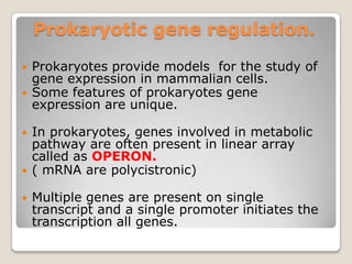 Regulation of gene expression | PPTX