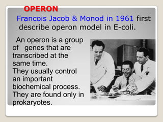 Regulation of gene expression | PPTX