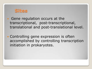 Regulation of gene expression | PPTX
