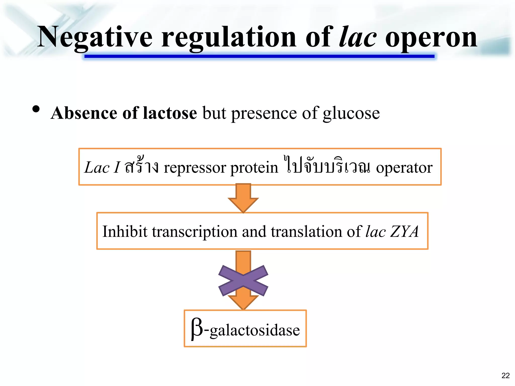 Regulation of gene expression | PDF