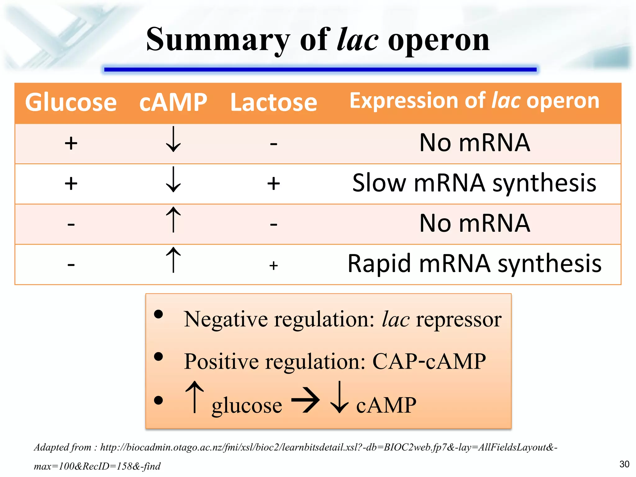 Regulation of gene expression | PDF