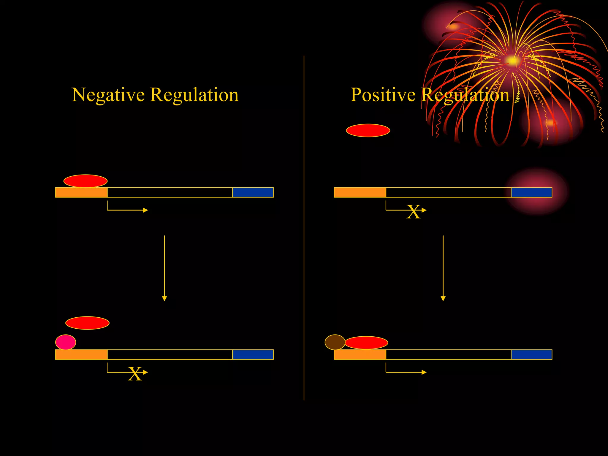 Regulation of gene expression | PPTX
