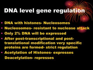 Regulation of gene expression | PPTX | Chemistry | Science