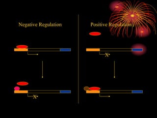 Regulation of gene expression | PPTX