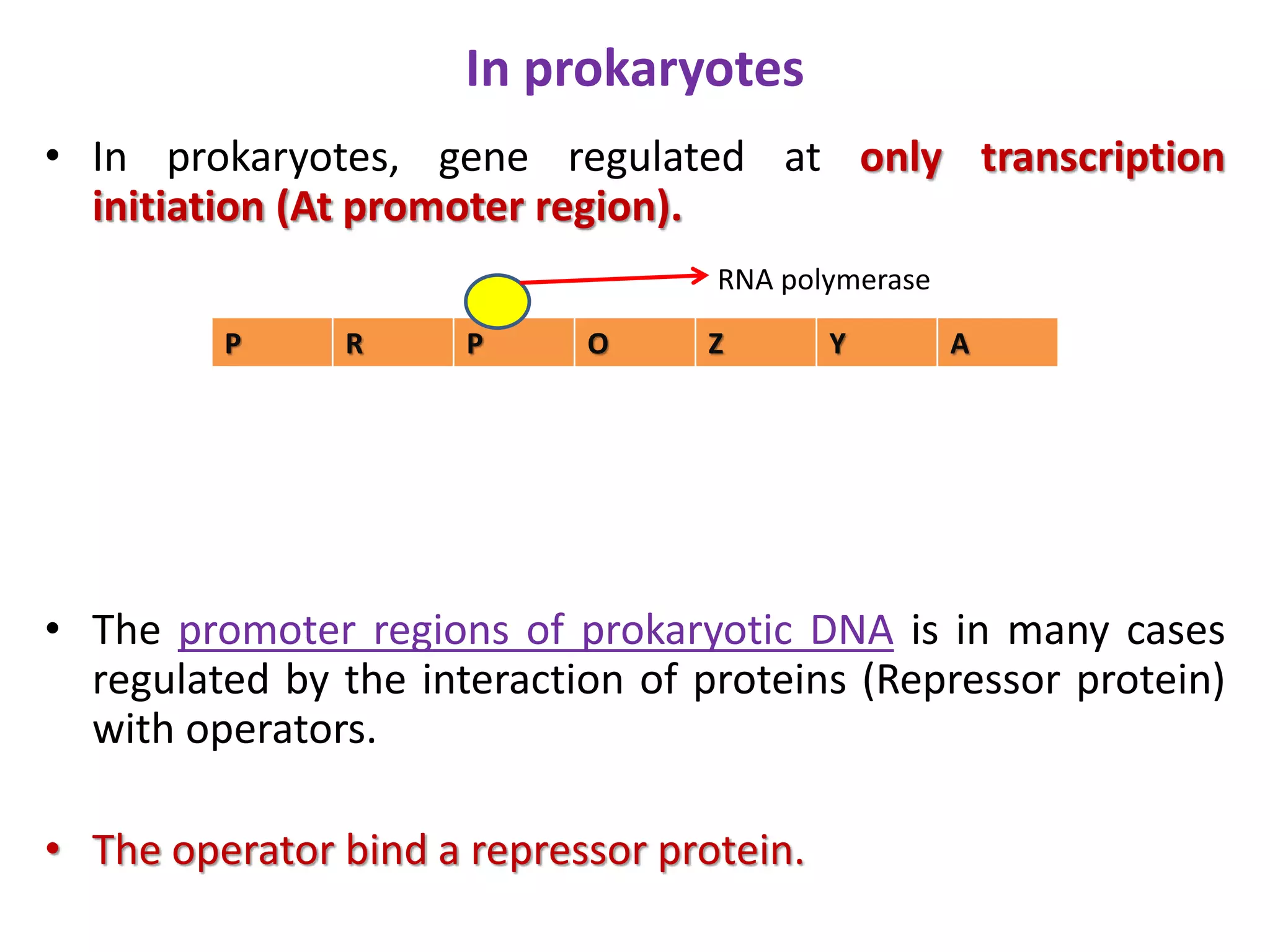 Regulation of gene expression... | PPTX
