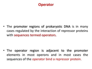 Regulation of gene expression... | PPTX | Genetics | Science