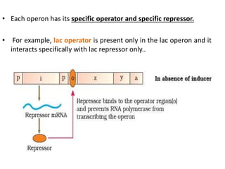 Regulation of gene expression... | PPTX