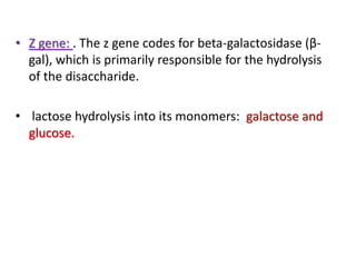 Regulation of gene expression... | PPTX