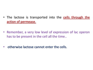 Regulation of gene expression... | PPTX