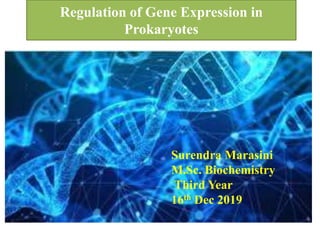 Regulation of gene expression | PPTX
