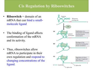 Regulation of gene expression | PPTX