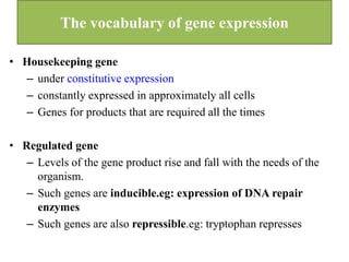 Regulation of gene expression | PPTX