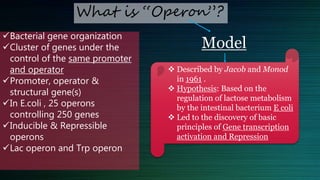 Regulation of gene expression | PPTX
