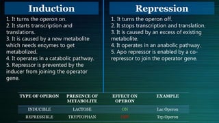 Regulation of gene expression | PPTX | Endocrine and Metabolic Diseases ...