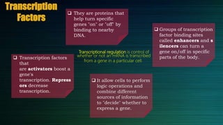 Regulation of gene expression | PPTX