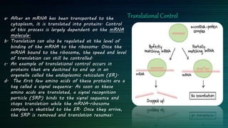 Regulation of gene expression | PPTX