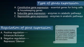 Regulation of gene expression | PPTX