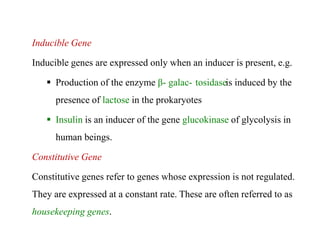 Regulation of Gene Expression.pdf | Biological Sciences | Science