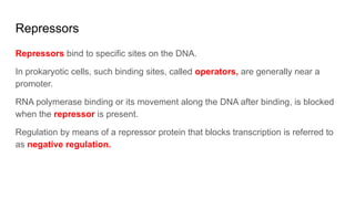 Regulation of gene expression.pdf