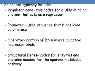 Regulation of Gene expression.pdf
