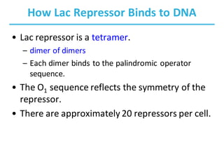 Regulation of gene expression. | PDF