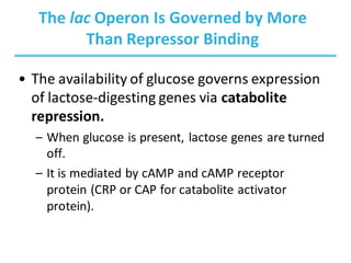 Regulation of gene expression. | PDF