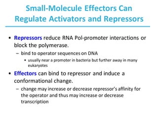 Regulation of gene expression. | PDF