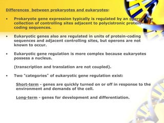 Regulation of gene expression and genetics.ppt