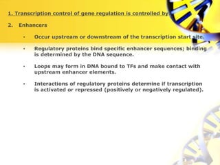 Regulation of gene expression and genetics.ppt