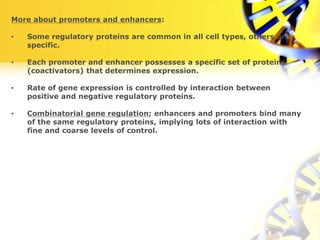 Regulation of gene expression and genetics.ppt
