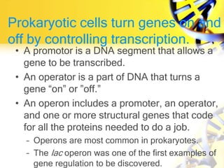 Regulation of gene expression and genetics.ppt