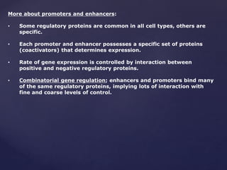 Regulation of gene expression.ppt234578w3e45 | PPT