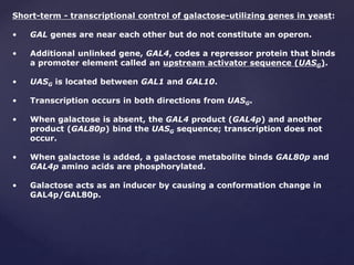 Regulation of gene expression.ppt234578w3e45 | PPT
