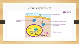 Regulation of gene Expression.pdf....... | PPT