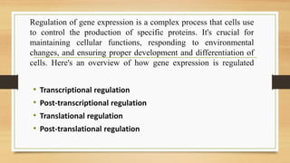 Regulation of gene Expression.pdf....... | PPT
