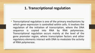 Regulation of gene Expression.pdf....... | PPT