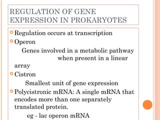 Regulation of gene expression (1).ppt ars | PPT
