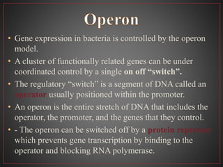 Regulation of gene expression 1 | PPTX