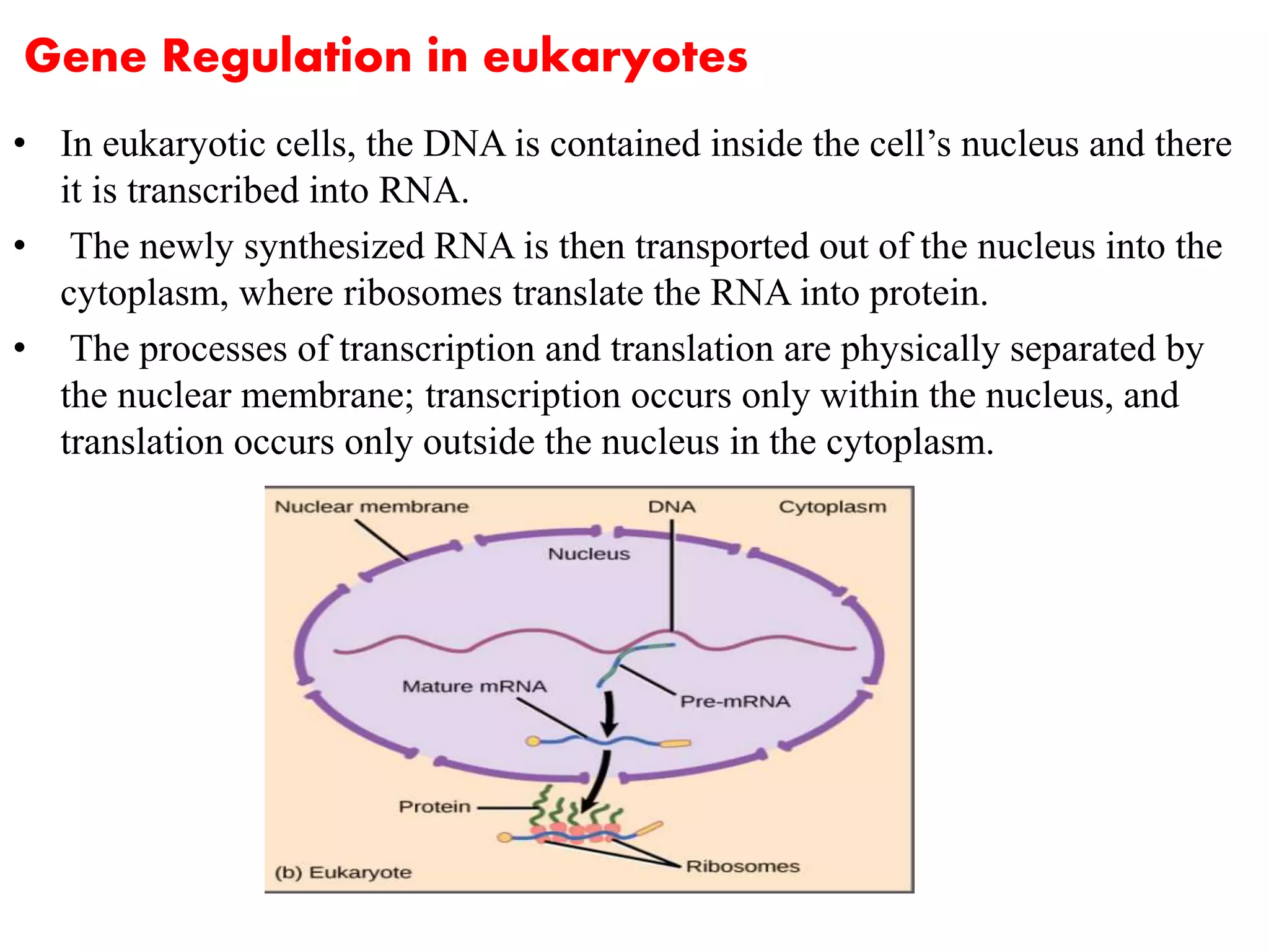 Regulation of gene expression (molecular biology) | PPTX