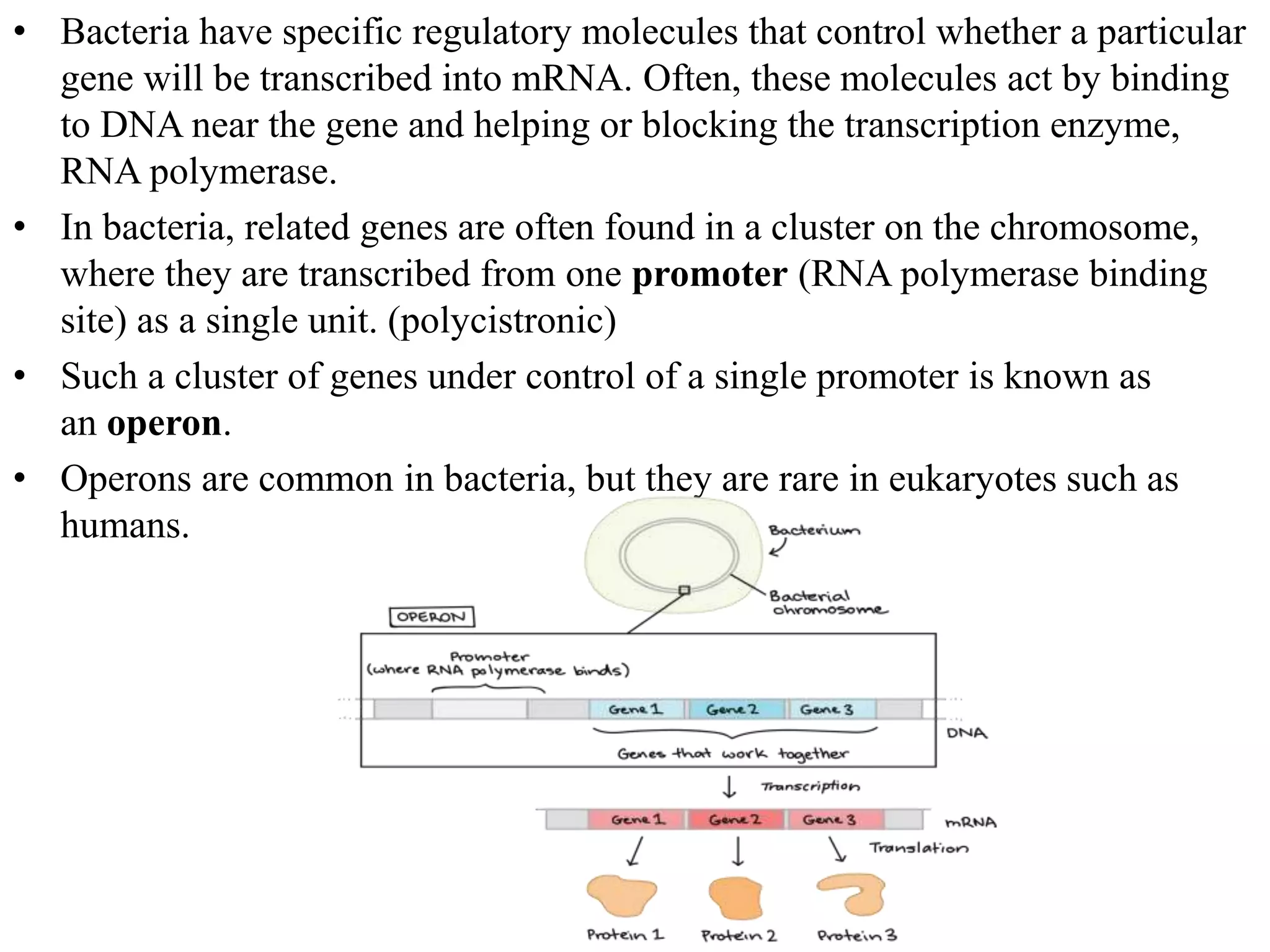 Regulation of gene expression (molecular biology) | PPTX
